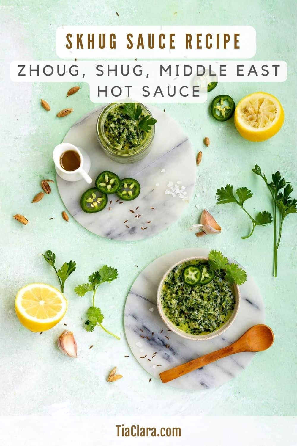 Shug, Zhoug, or Skhug Sauce 🌶 [Video+Recipe] - Tia Clara